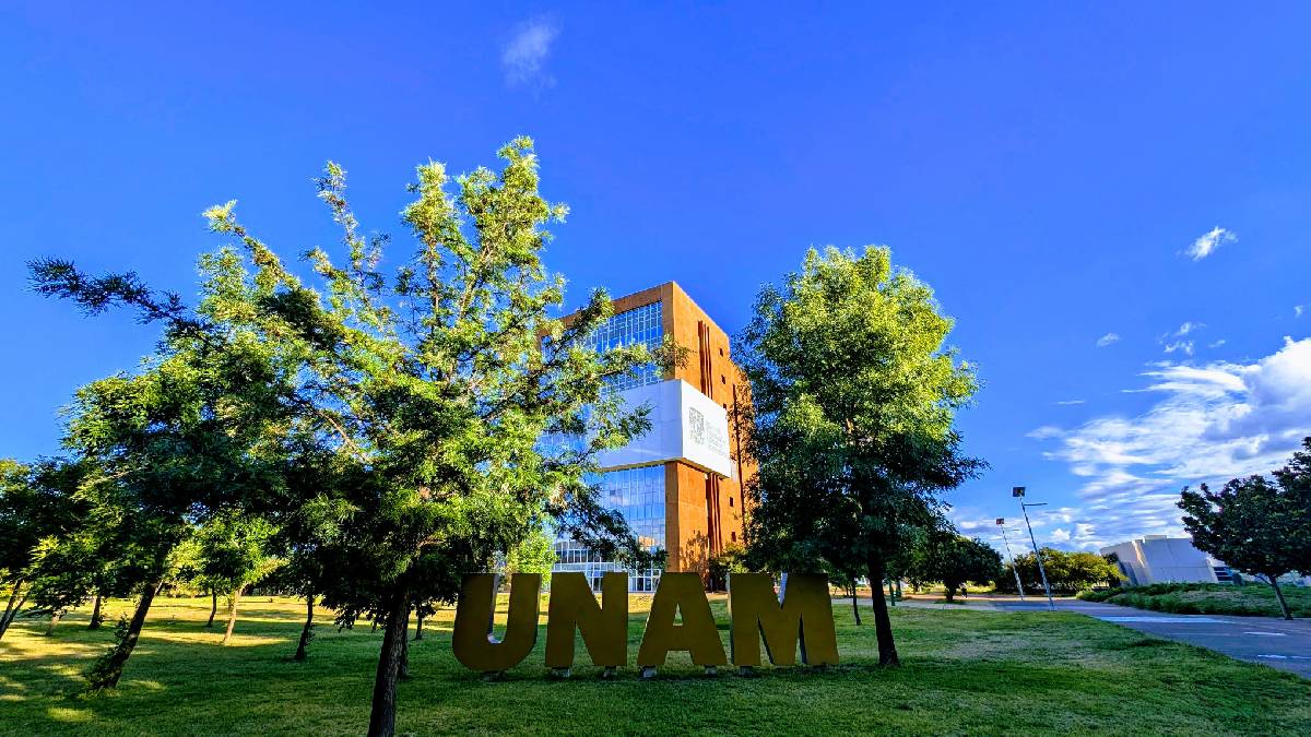 ENES León amplía su oferta educativa con las licenciaturas en ...