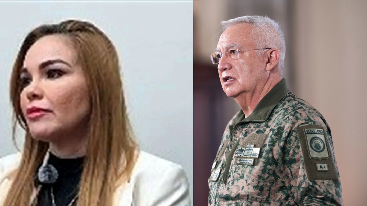 "Chocan" diputada Paola Gárate y el secretario de Defensa, Ricardo ...